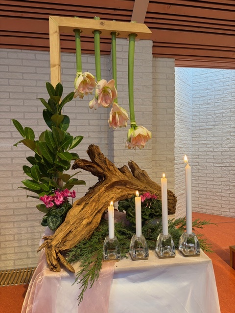 Vierde advent 2025 – Schuilplaats
